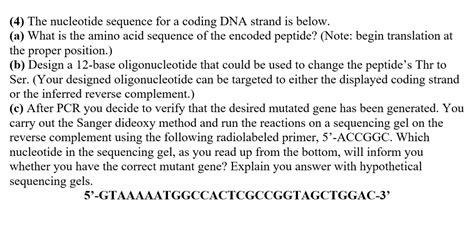 Solved The Nucleotide Sequence For A Coding Dna Strand Is Below What Is The Amino Acid
