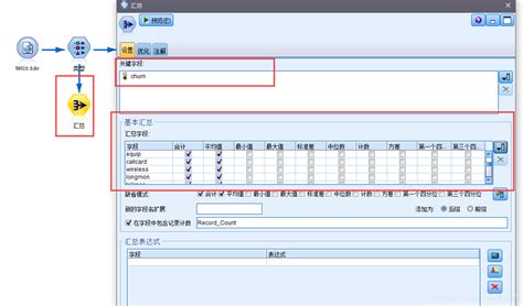 spss modeler18 0数据挖掘软件教程（二）：数据描述性统计与可视化