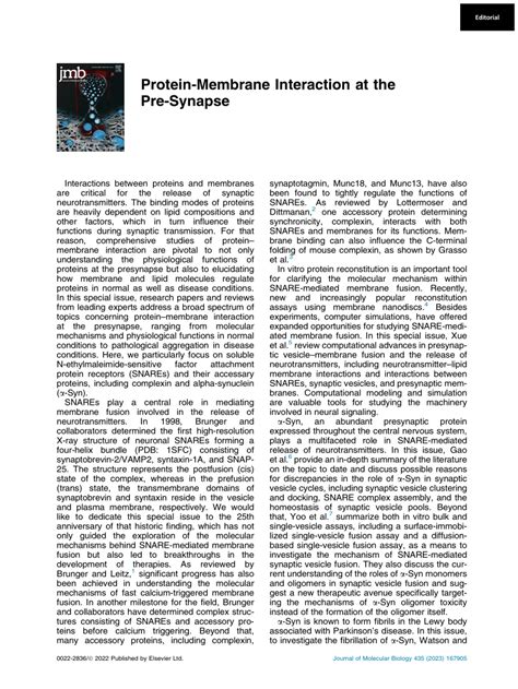 Pdf Protein Membrane Interaction At The Pre Synapse