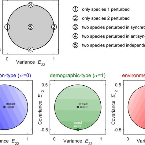 Variability Patterns For A Two Species Community Top Panel For A
