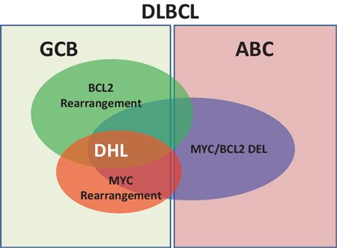 Relationship Among Gcb And Abc Types Myc And Bcl2 Rearrangements Dhl
