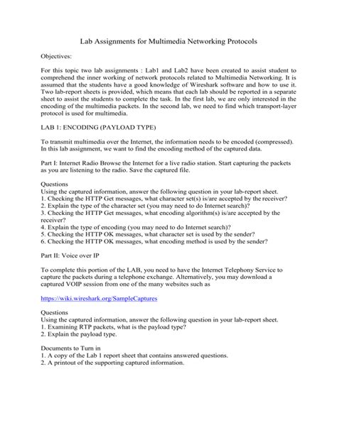 Multimedia Networking Protocols Lab Assignment