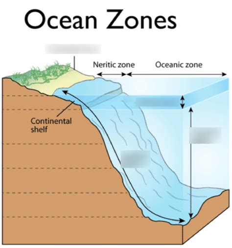 Draw An Annotated Diagram To Demonstrate The Ocean Circulati