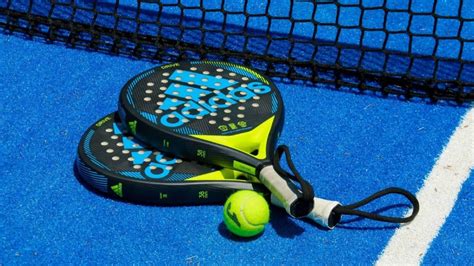 აქტივობები