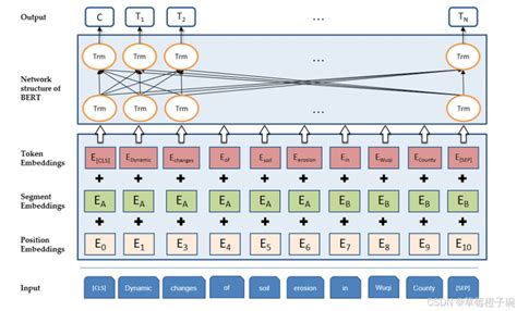 基于pytorch本地部署微调bert模型（yelp文本分类数据集）bert模型本地部署 Csdn博客