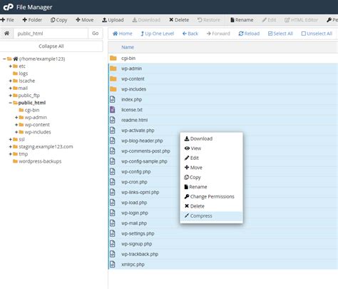 Creating A Staging Environment In CPanel VentraIP
