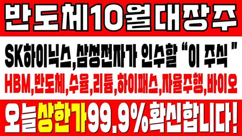 주식 삼성전자 Sk하이닉스가 인수해 세계 1위가 될 이 주식 오늘 상한가 99 확신합니다 주식스터디 주식초보 주식강의 주식강좌 Youtube