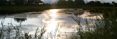 Introduction To Finite State Machines In Unity 12 Minute Video