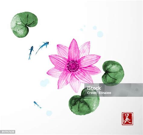 작은 물고기와 핑크 로터스 꽃 손 잉크로 흰색 바탕에 그려진 상형 문자를아름다움에 포함 되어 있습니다 전통적인 동양 잉크 그림 Sumie U죄가 화 0명에 대한 스톡 벡터