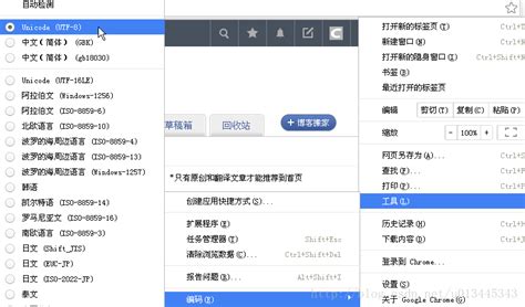 解决网页乱码问题及浏览器字符编码设置 csdn博客