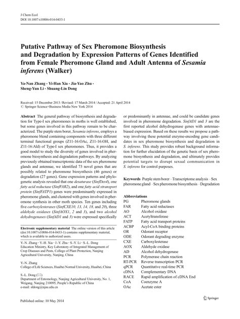 PDF Putative Pathway Of Sex Pheromone Biosynthesis And Degradation By Expression Patterns Of