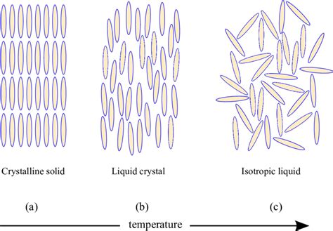 4 Thermotropic Liquid Crystal Phase Transition Behavior The Axis Download Scientific Diagram