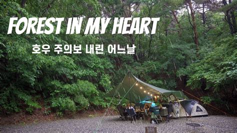 호우주의보 내린 어느 날 숲속에서 캠핑을 부여 내안의 숲우중캠핑 폭우캠핑 Youtube
