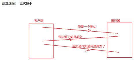 基础介绍 yyz notes