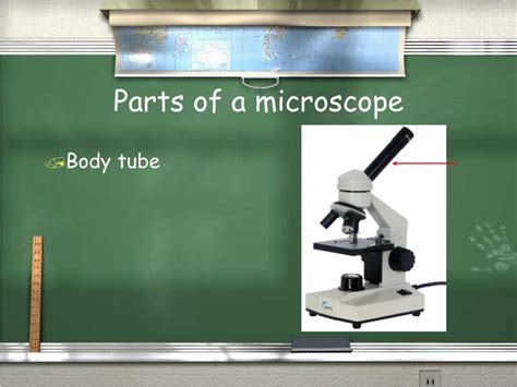PPT Parts Of The Microscope And Their Function PowerPoint Presentation ID