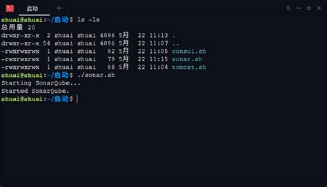 【代码审计】使用sonarqube进行代码质量分析管理 Csdn博客