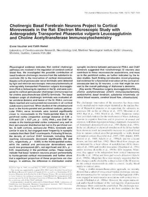 Pdf Cholinergic Basal Forebrain Neurons Project To Cortical › Content › Jneuro › 15 › 11