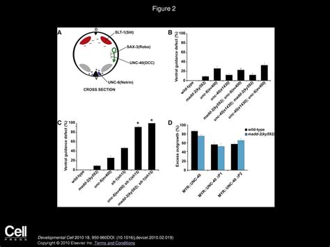 Volume 18 Issue 6 Pages June 2010 Ppt Download