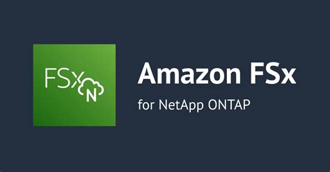 Fsx For Netapp Ontap 超初心者がマウントでつまづいた話 Developersio