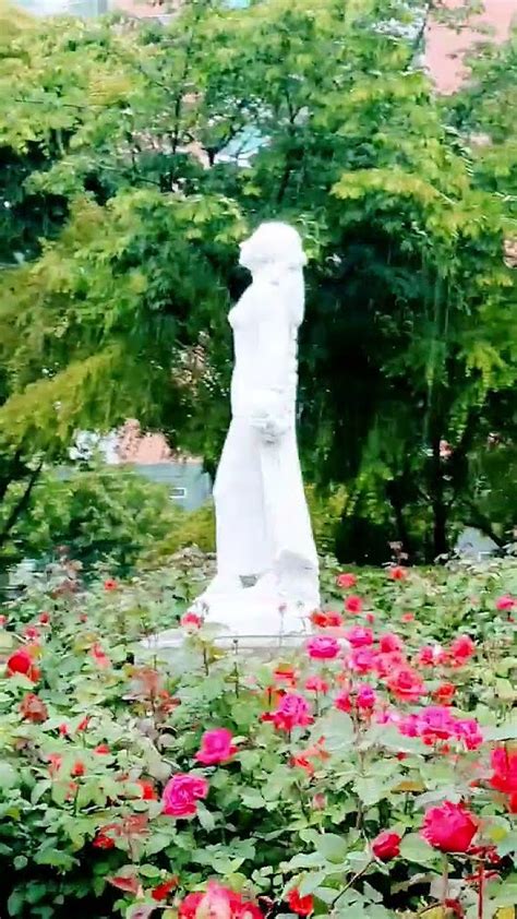 비오는날 중랑천 장미공원 장미신전 산책 장미여신상 느린여행 Relaxing 비오는날 빗소리 서울장미축제 중랑천장미 Youtube