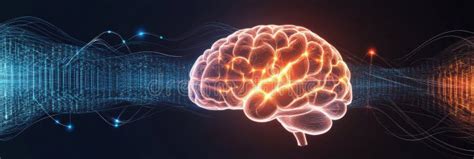 Scientific Depiction Of The Brain With Glowing Neuron Pathways And