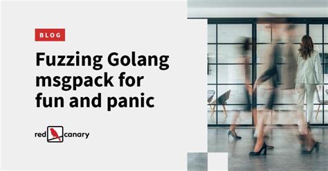 Lyndi Lockhart On Linkedin Fuzzing Golang Msgpack For Fun And Panic