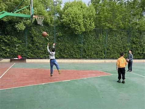 人气超旺普陀这个小区多了个青少年篮球场 澎湃号政务 澎湃新闻 The Paper