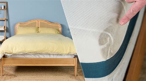 How To Quickly Get Coffee And Tea Stains Out Of A Mattress Toms Guide
