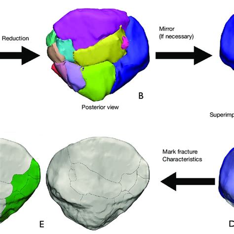 Schematic Of Method Used For 3d Computed Tomography Ct Mapping Of Download Scientific Diagram