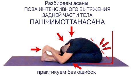 Растяжка ног и спины Пашчимоттанасана Асаны йоги Youtube