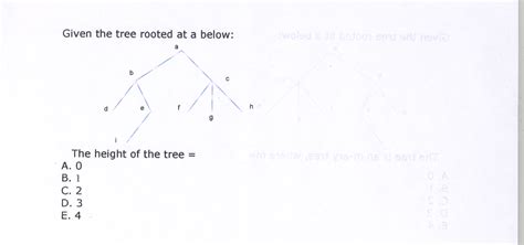 Solved Given The Tree Rooted At A Below The Height Of The Chegg