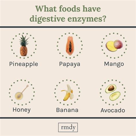 Foods With Digestive Enzymes Boost Digestion Naturally