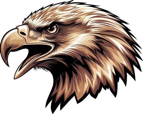 Fierce Eagle Head Illustration Eagle Head Eagle Design Eagle Png