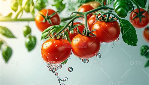 健康饮食ai数字艺术 蔬菜食材在水中清洗的西红柿健康饮食插画 Ai立体元素免费下载 Png格式 4032像素 编号70977909 千图网