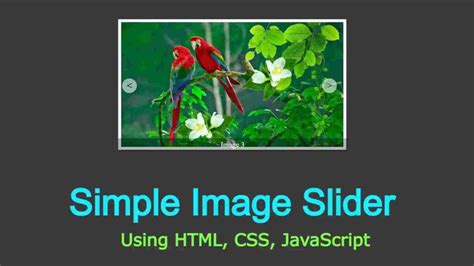 Show Hide Password Toggle In Javascript Free Code