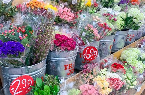 What To Buy At Trader Joes 30 Products We Love