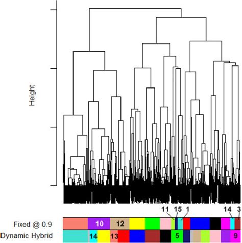 Hierarchical Clustering Applied To The Diffusion Processing Package Download Scientific Diagram