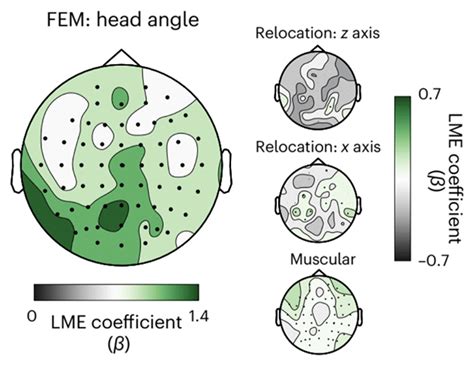 How Our Brain Guides Us Revealing The Neural Compass