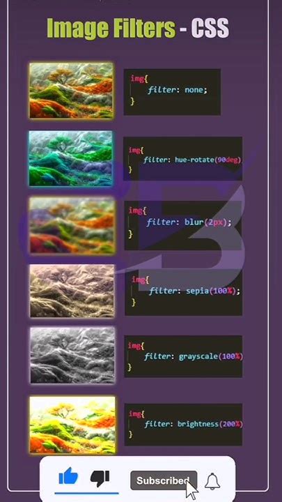 Image Filters In Css How To Use Img Filter In Css Cssfilters