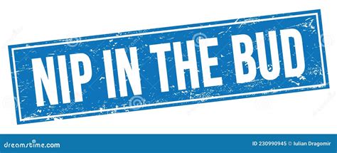 NIP In The BUD Text On Blue Grungy Rectangle Stamp Stock Illustration Illustration Of Blue