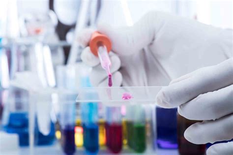 A Brief Guide To Pichia Pastoris Fermentation