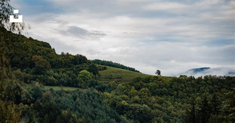 나무와 언덕이있는 풍경 사진 Unsplash의 무료 Sky 이미지