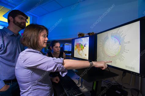 Bioinformaticians Comparing Bacterial Whole Genome Data Stock Image