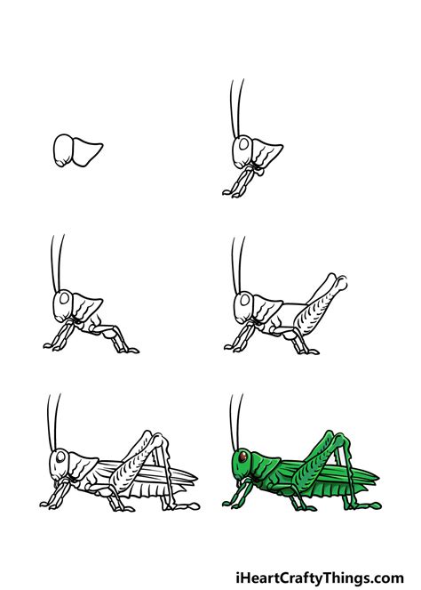 Easy Grasshopper Drawing