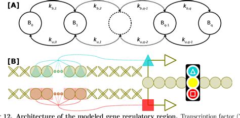 Figure 12 From Ai Powered Simulation Based Inference Of A Genuinely Spatial Stochastic Model Of