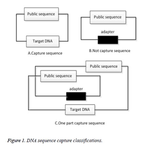 A Light Weight Snp Detection Algorithm For The Breast Cancer Targeted