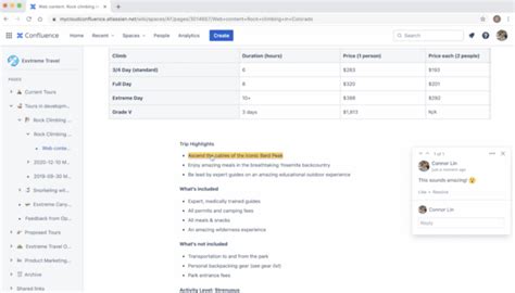 Confluence Review Features Alternatives More
