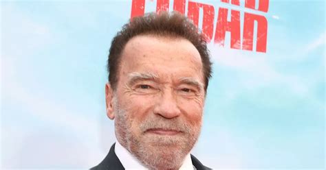 Arnold Schwarzenegger Admits His Body Sucks And Hates Looking At
