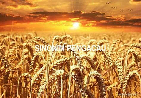 109 Sinonim Pengacau Tesaurus Bahasa Indonesia