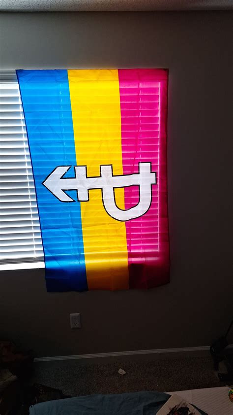 Finally Hung Up The Flag I Bought Years Ago Not Sure If I Hung It The Right Way Rpansexual